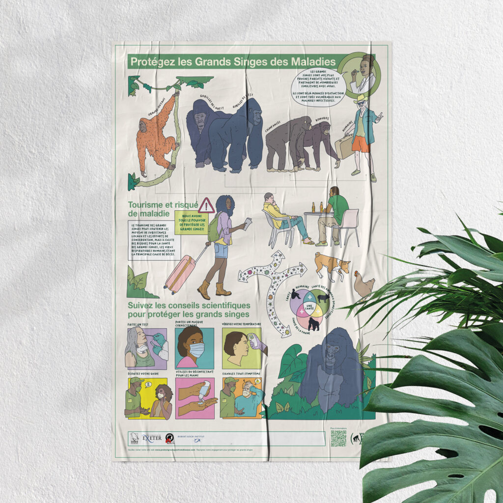 DISEÑO GRÁFICO - Jimmy-Colors